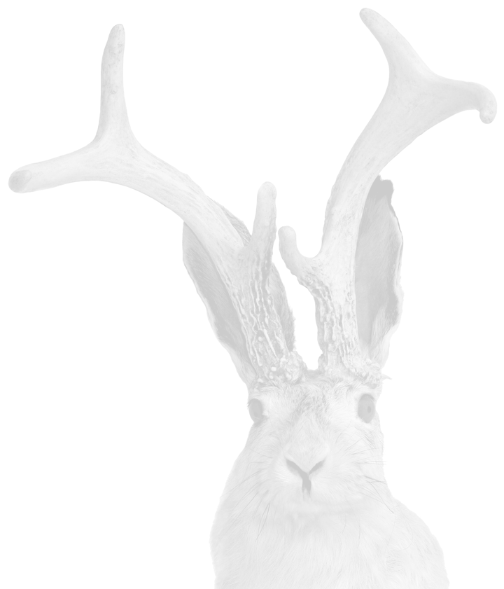 Jack + Sage – Jack and Sage